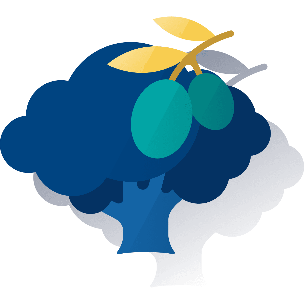 Una olivera absorbeix 570 kg de carboni per viure | BBVA