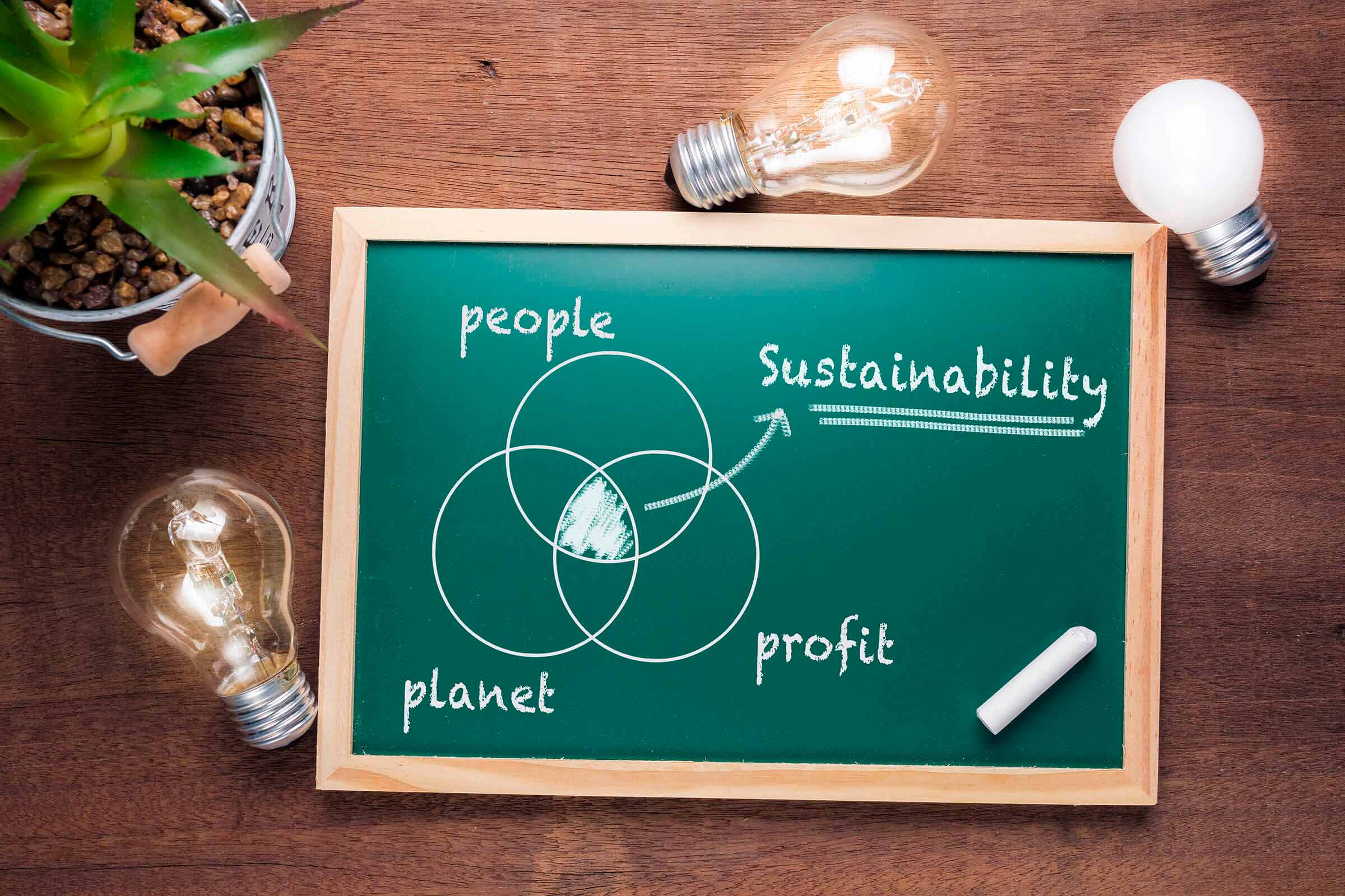 ¿Qué es el greenwashing y cómo reconocerlo? | BBVA