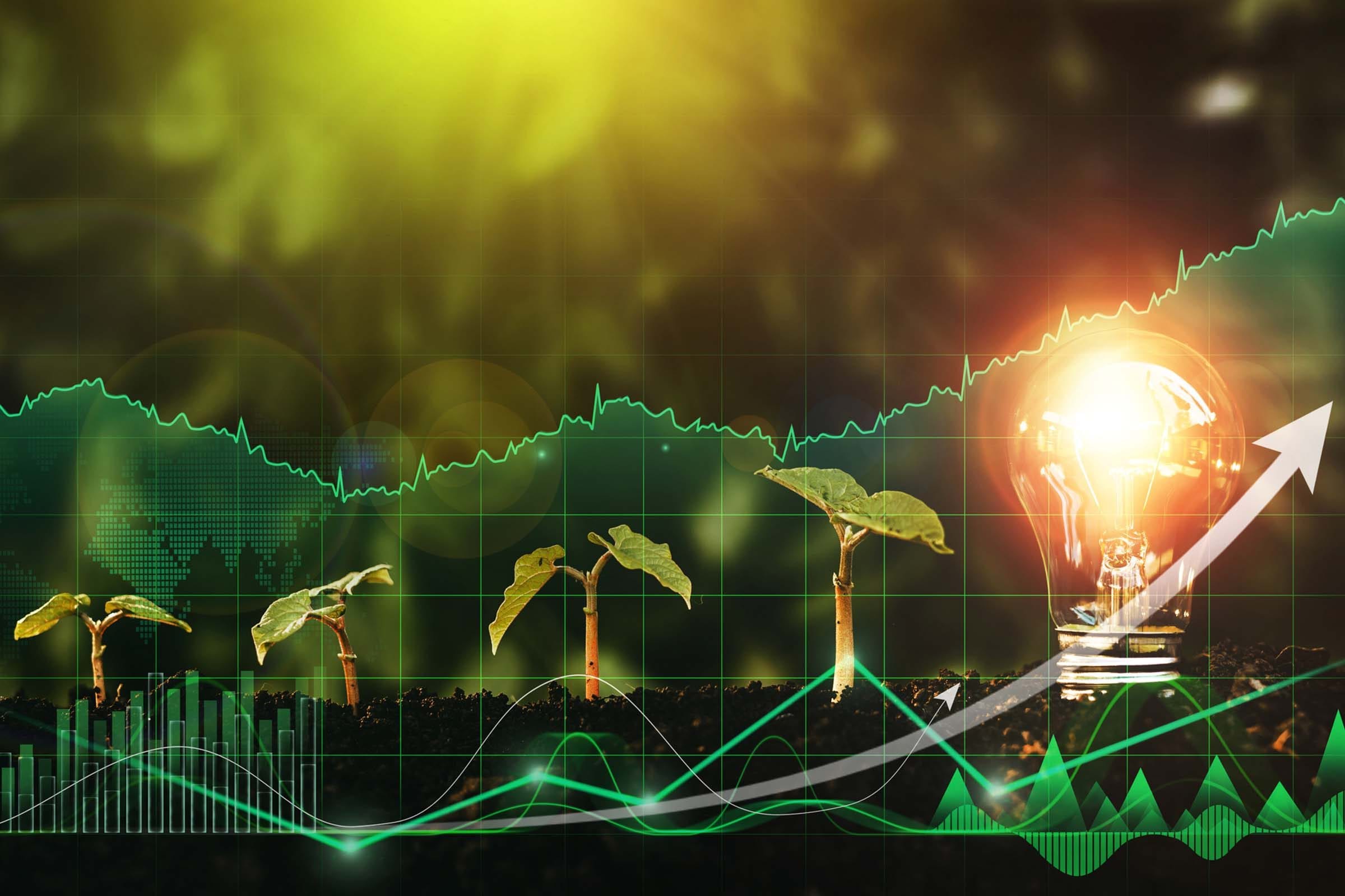 ¿Qué son los fondos de inversión con características sostenibles? | BBVA